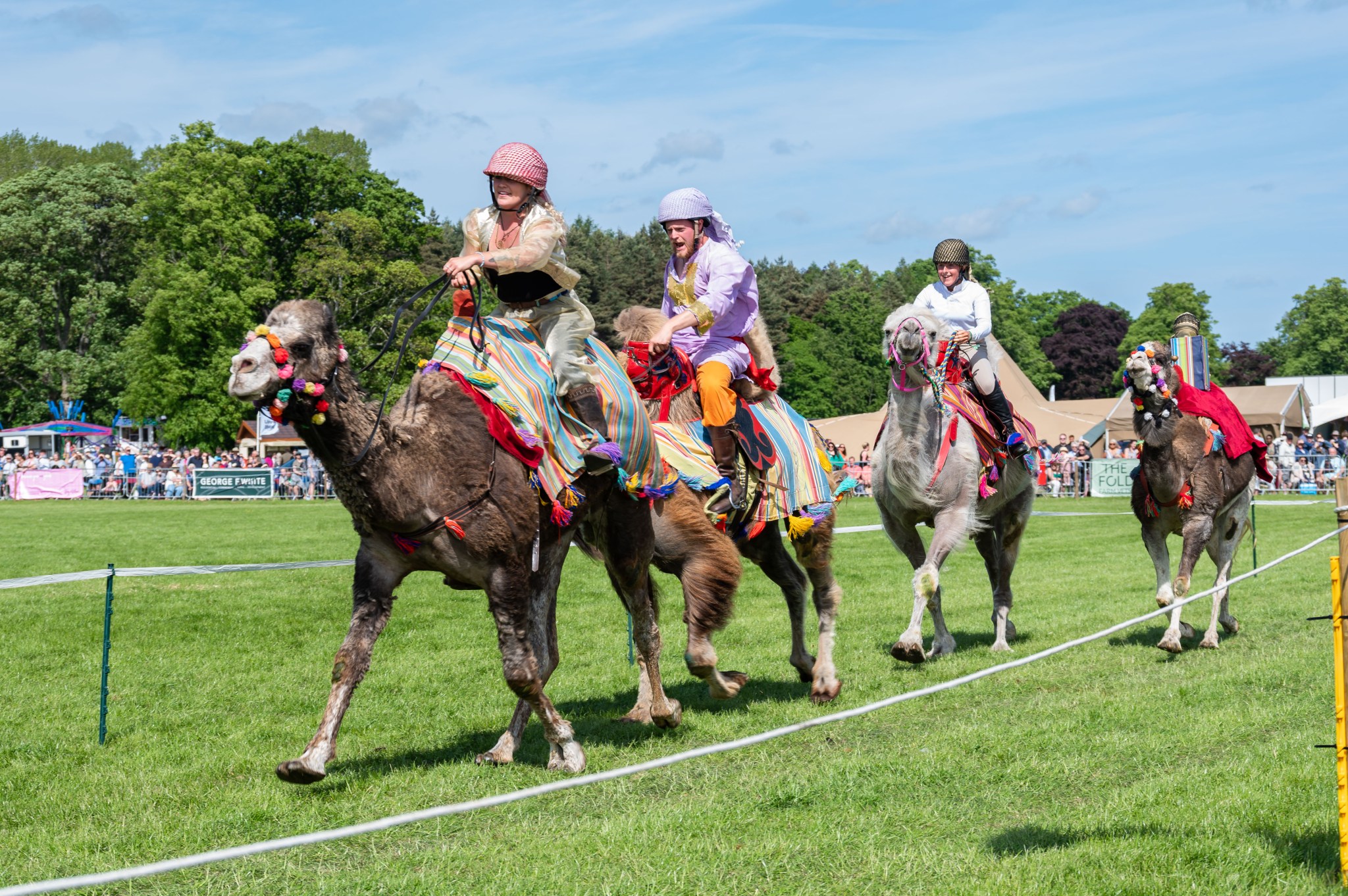 Frampton Country Fair – The UK's best one day fair