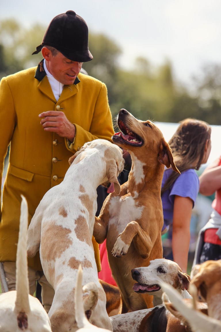 Tickets – Frampton Country Fair