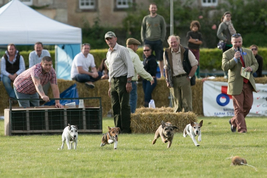 Trade Stalls – Frampton Country Fair