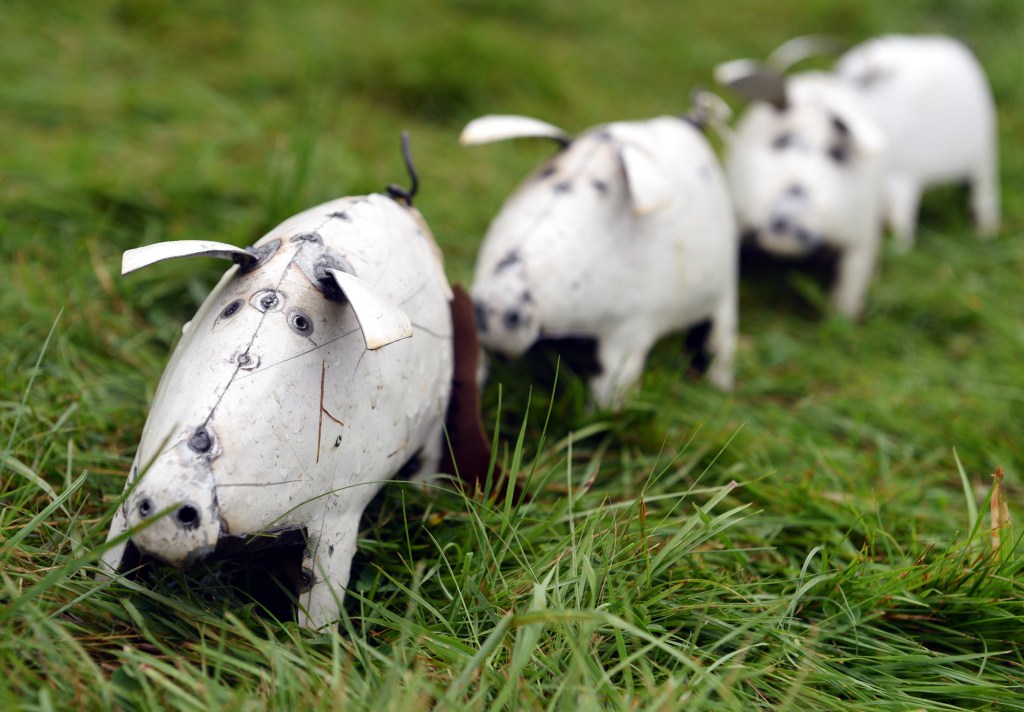 Event Information – Frampton Country Fair