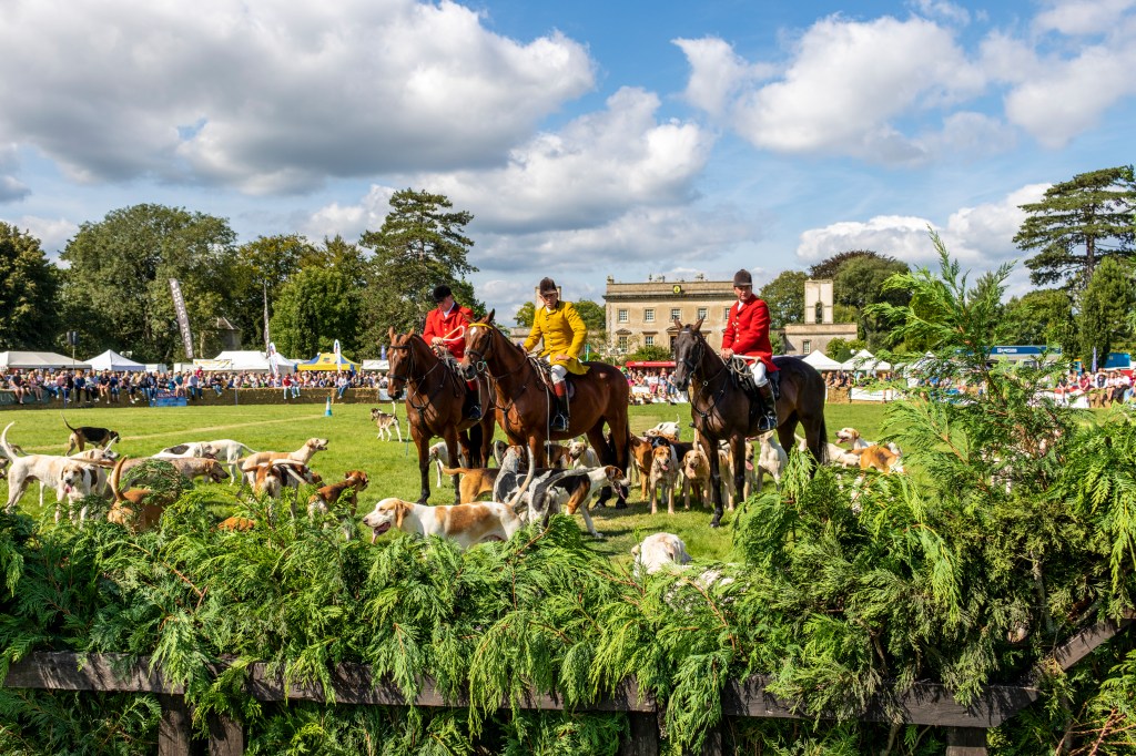 Main Ring – Frampton Country Fair