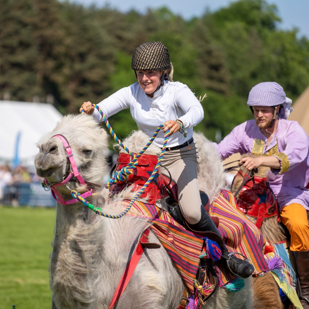 Tickets – Frampton Country Fair
